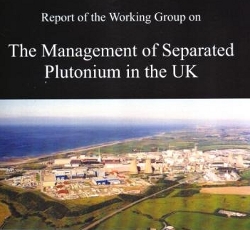 Report of the Working Group on the Management of Separated Plutonium in ...